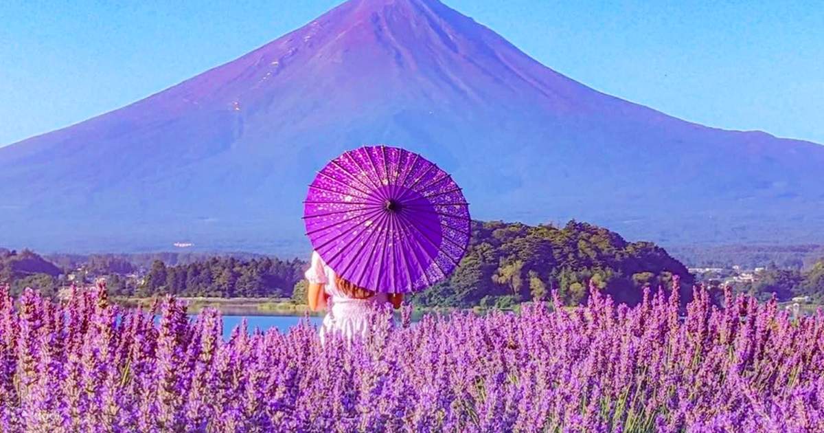 [Mount Fuji Popular & Classic Day Tour] Mount Fuji Popular Park ...